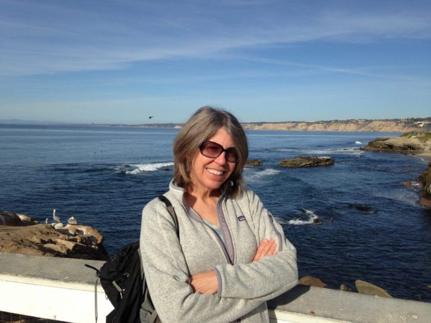 Rubbing Stones, a novel, by Nancy Burkey – Nancy Burkey